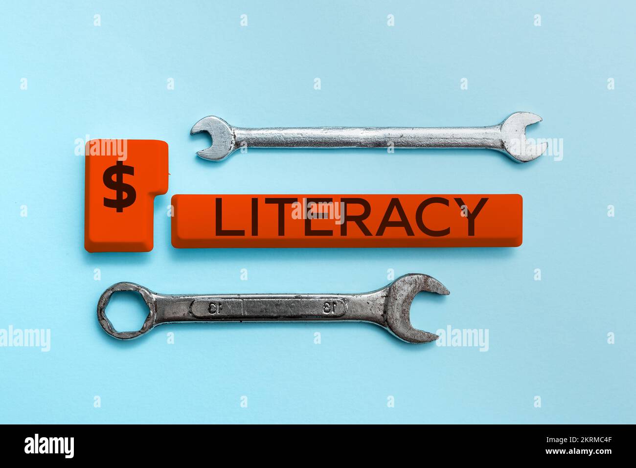 Text caption presenting Literacy, Business overview ability to read and ...