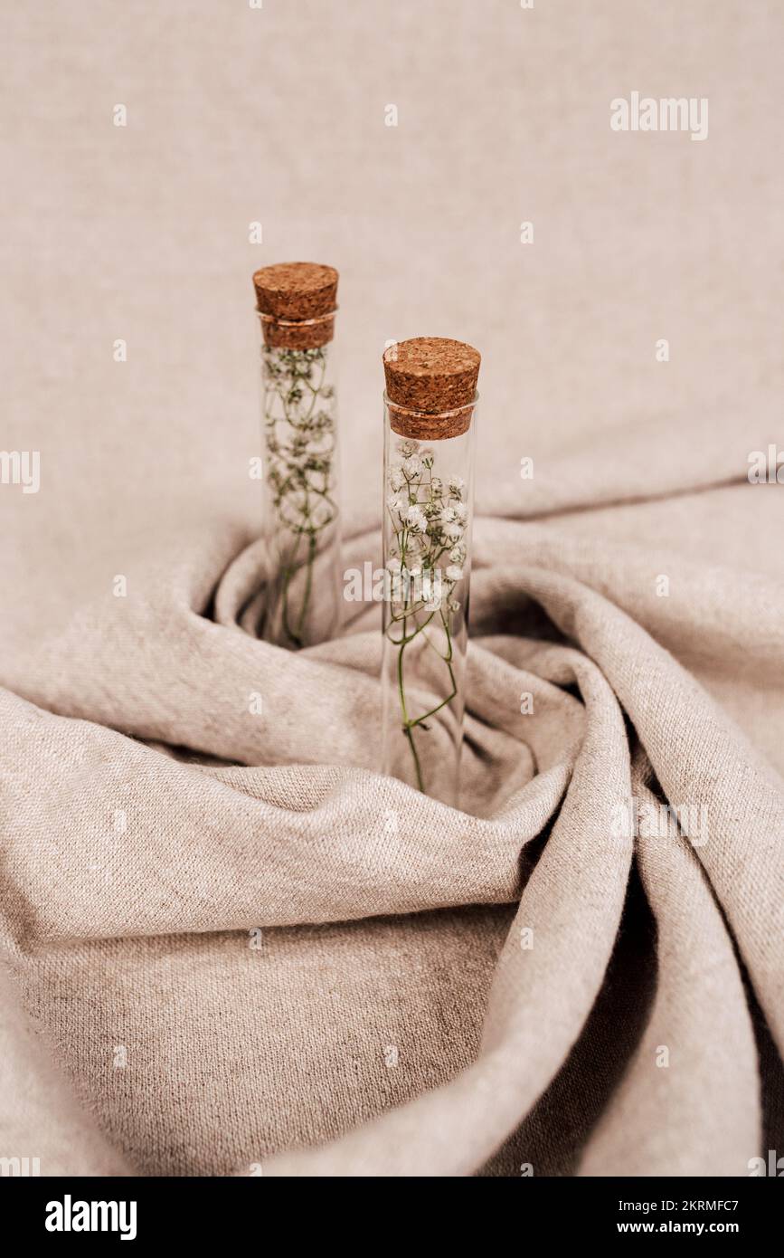High angle of white blooming gypsophila placed in test tubes with cork ...