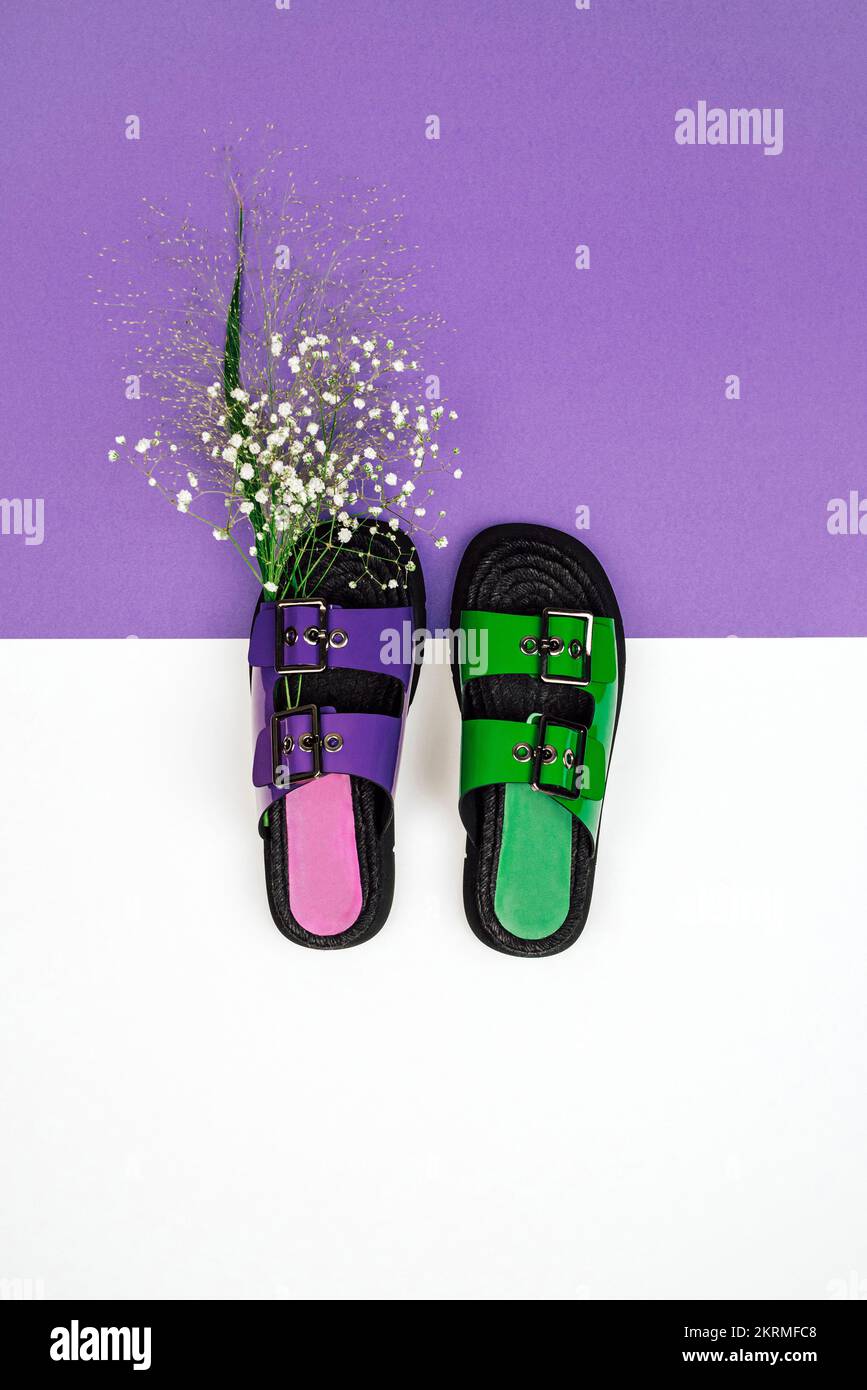 Top view composition made of multicolored flip flops and blooming white ...
