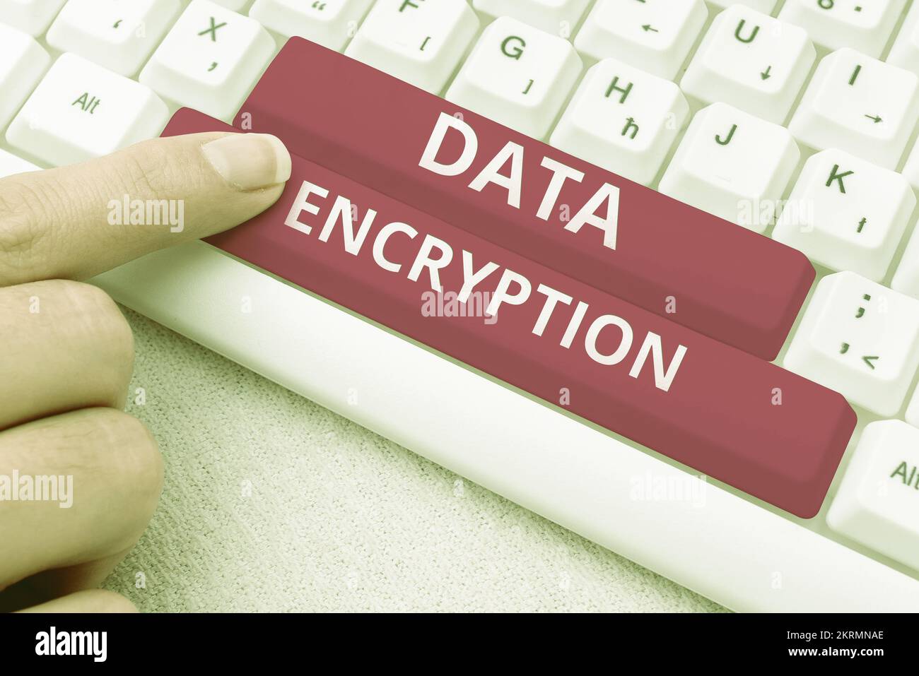 Conceptual display Data Encryption, Business showcase Conversion of data into code for ...