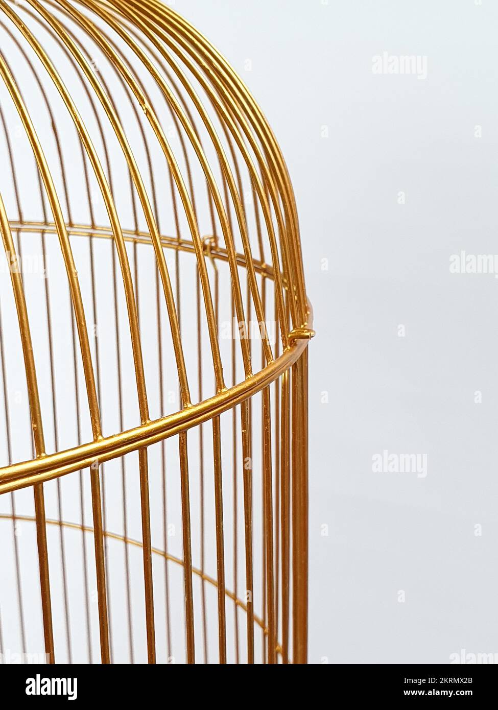 cage grid close-up. Gold tall metal bird cage on white background Stock ...