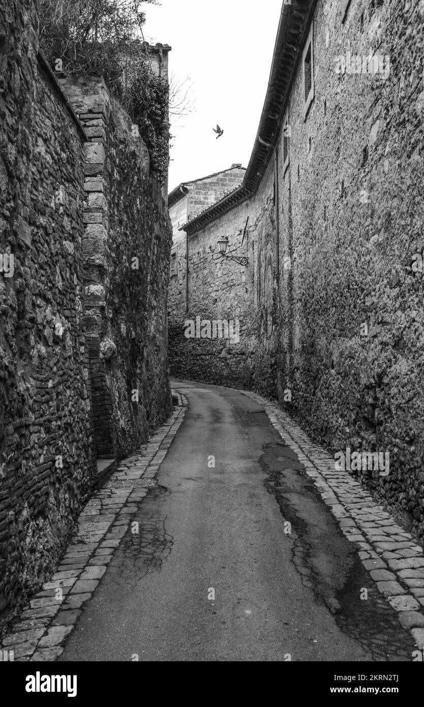 Bell tower night view Black and White Stock Photos & Images - Alamy