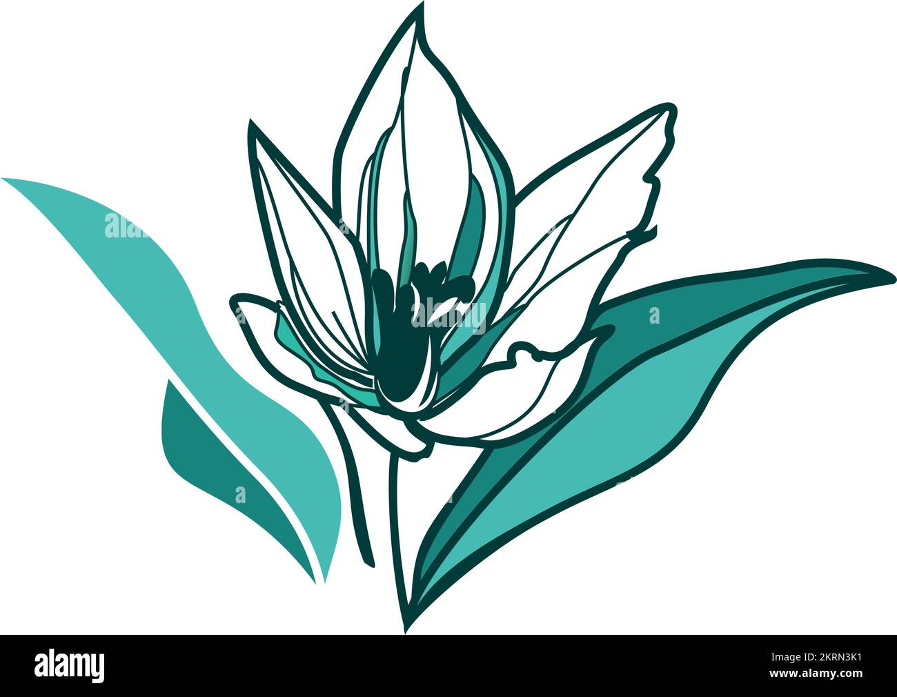 Beautiful flower, flowers, floral design, botanical flower illustration ...