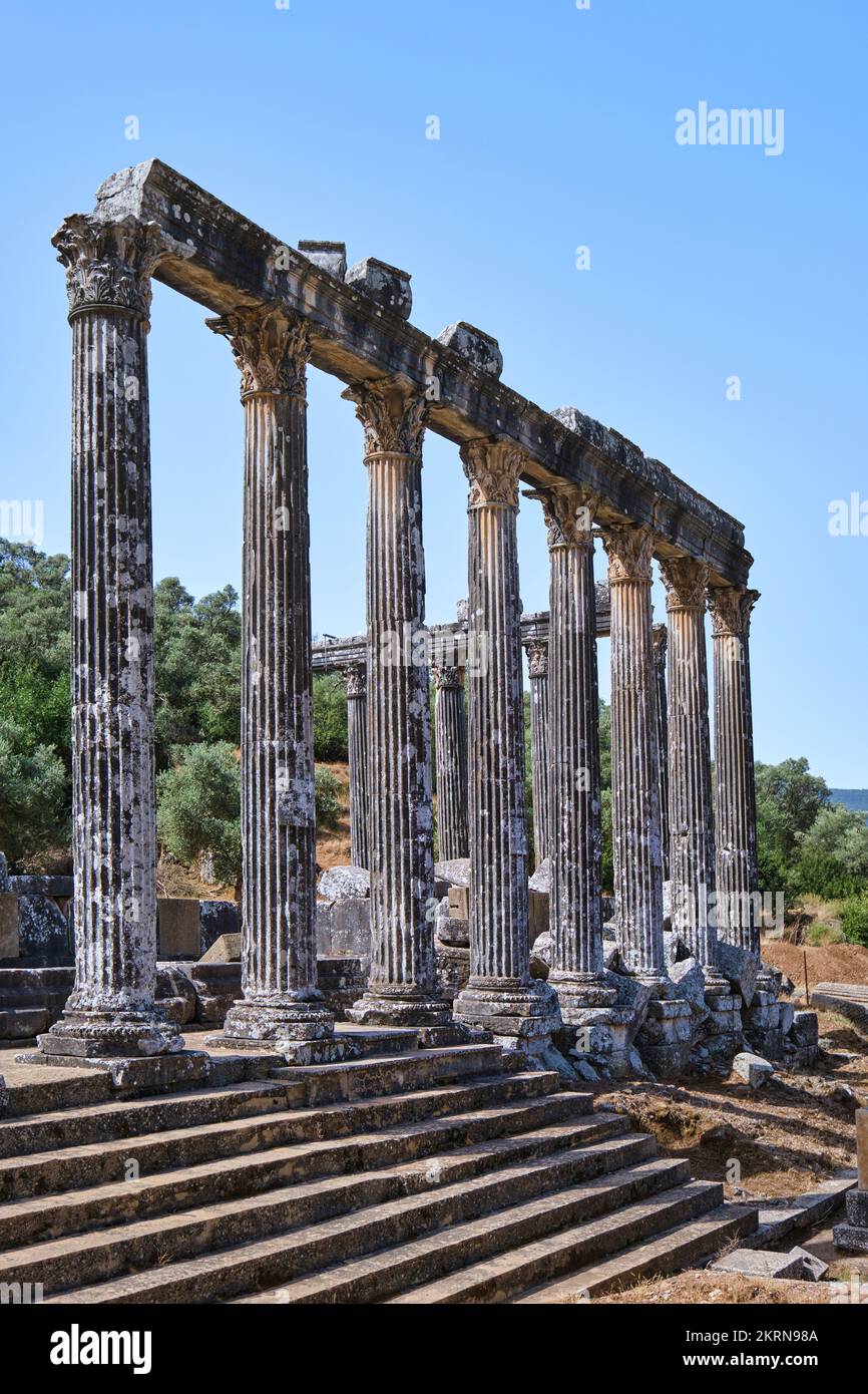 Euromos, Milas, Muğla, Turkey, Sep. 2021: Euromus Ancient City. Temple ...