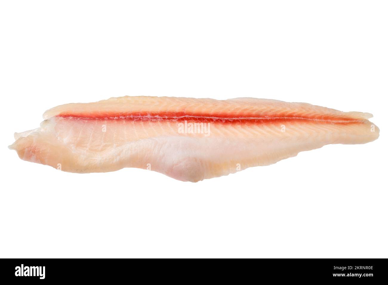 Fresh raw fillet of pangasius isolated on white background Stock Photo ...