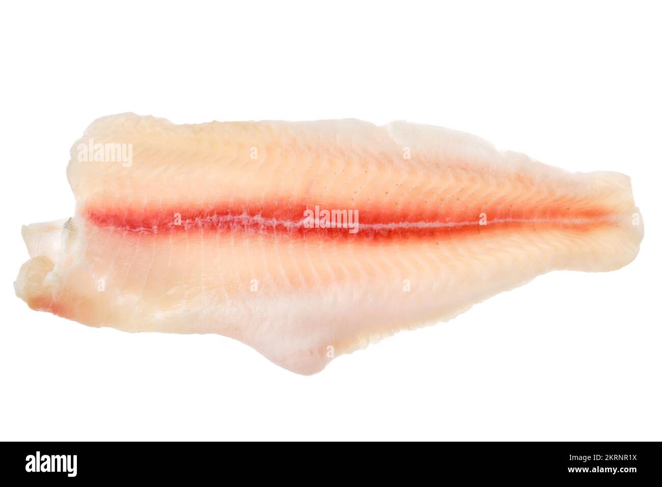 Top view of fresh raw fillet of pangasius isolated on white background ...