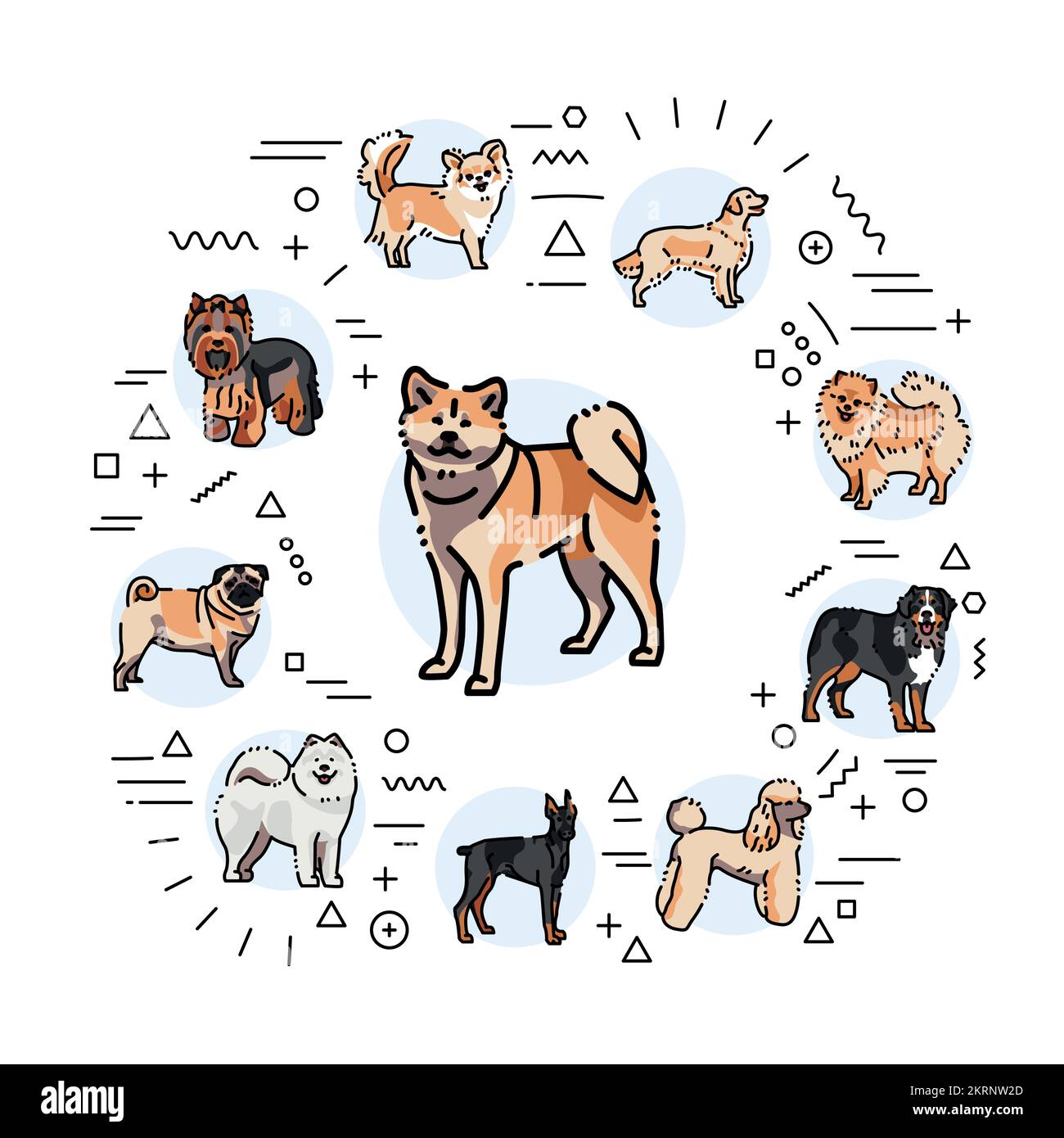 Breed dogs web banner. Infographics with linear icons on white ...