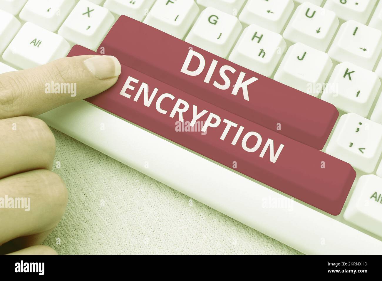 Text caption presenting Disk Encryption, Conceptual photo the security mechanism used to protect ...