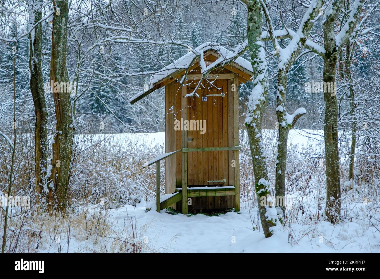 Outdoor wooden toilet house covered with snow on winter forest and ...