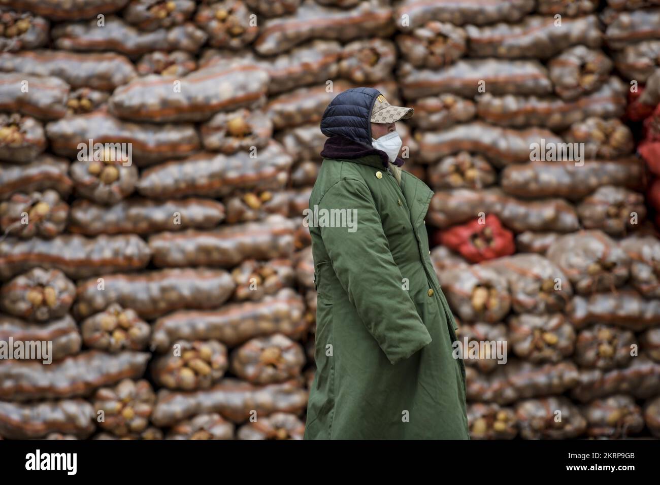The vegetables are covered by the quilt to keep warm in Jinan City ...