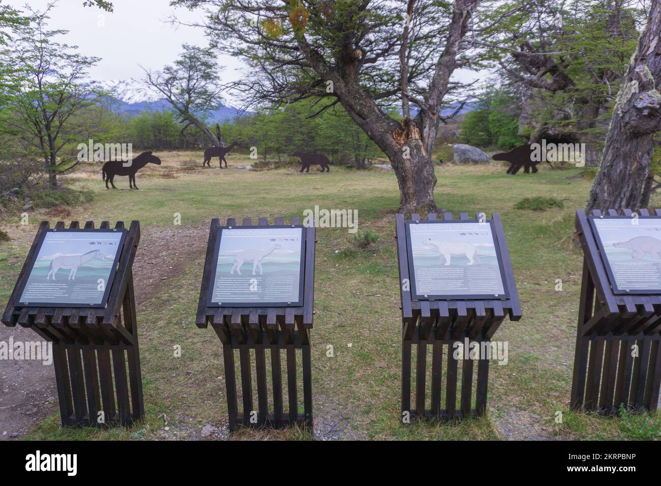 Milodon Cave Natural Monument, Puerto Natales, Cile, Patagonia, South ...