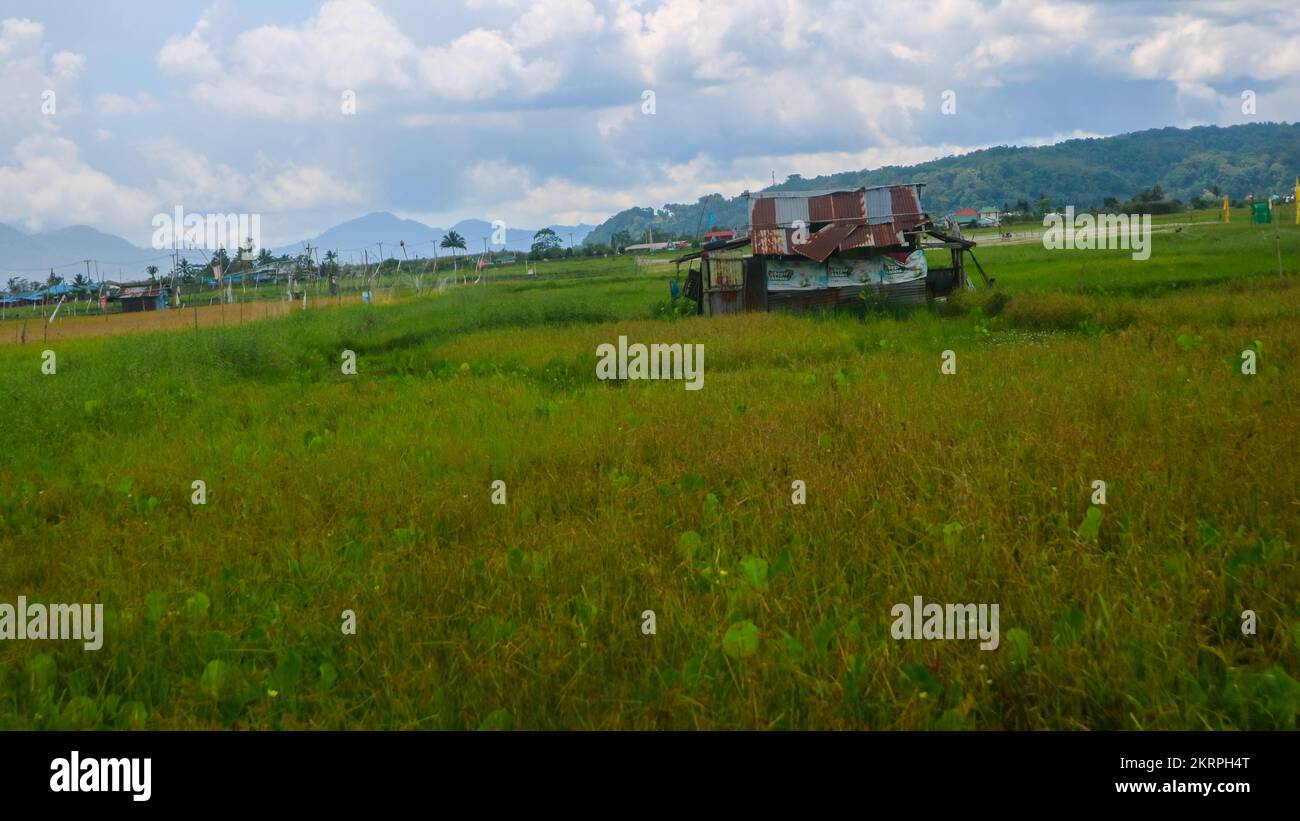 cabin in the middle of beautiful rice fields with cloudy skies Stock ...