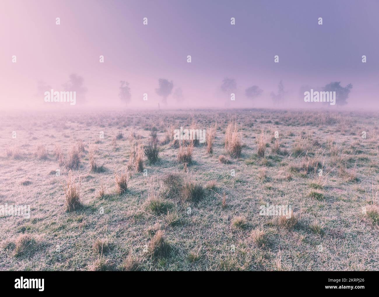 Simplistic cold climate landscape on a frost immersed winter grassland ...