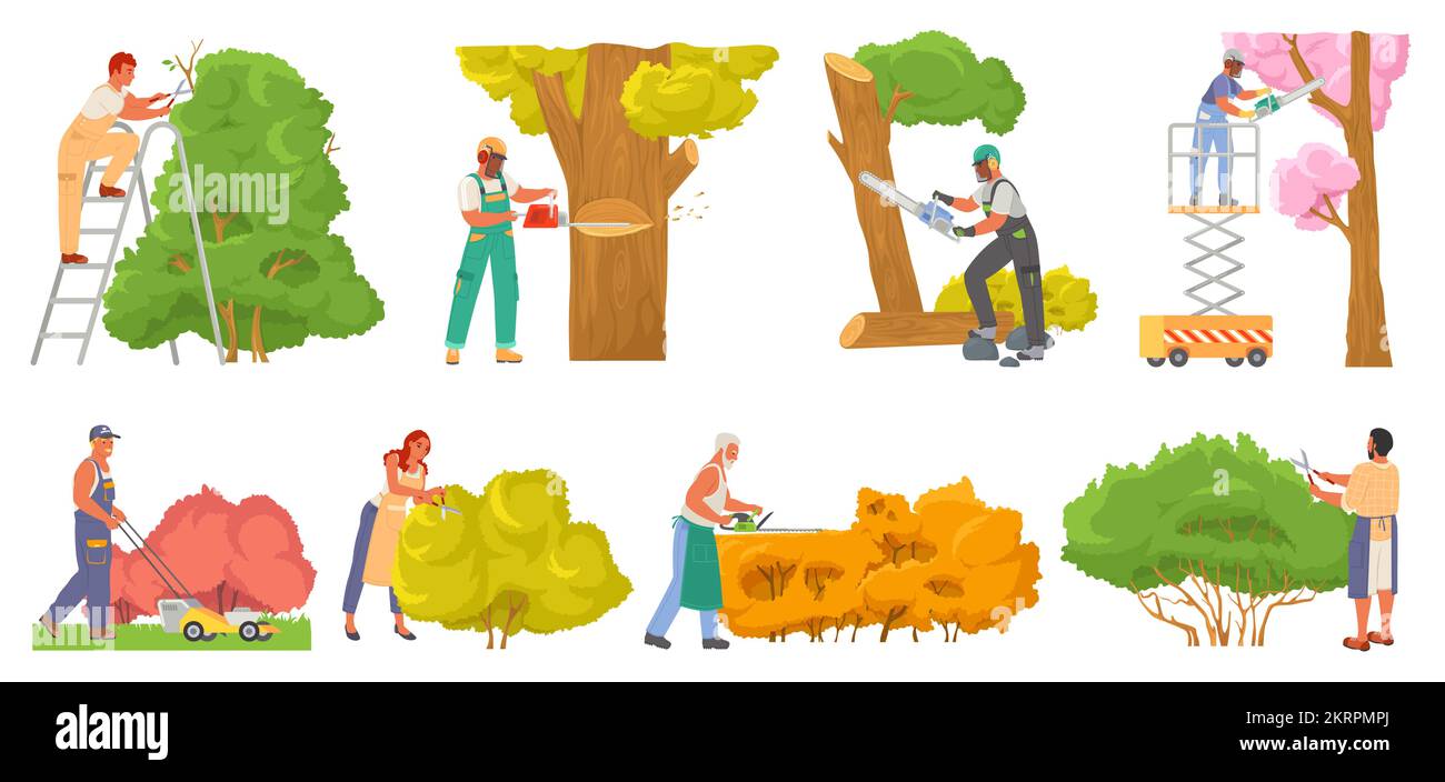Cutting tree trunk Stock Vector Images - Alamy