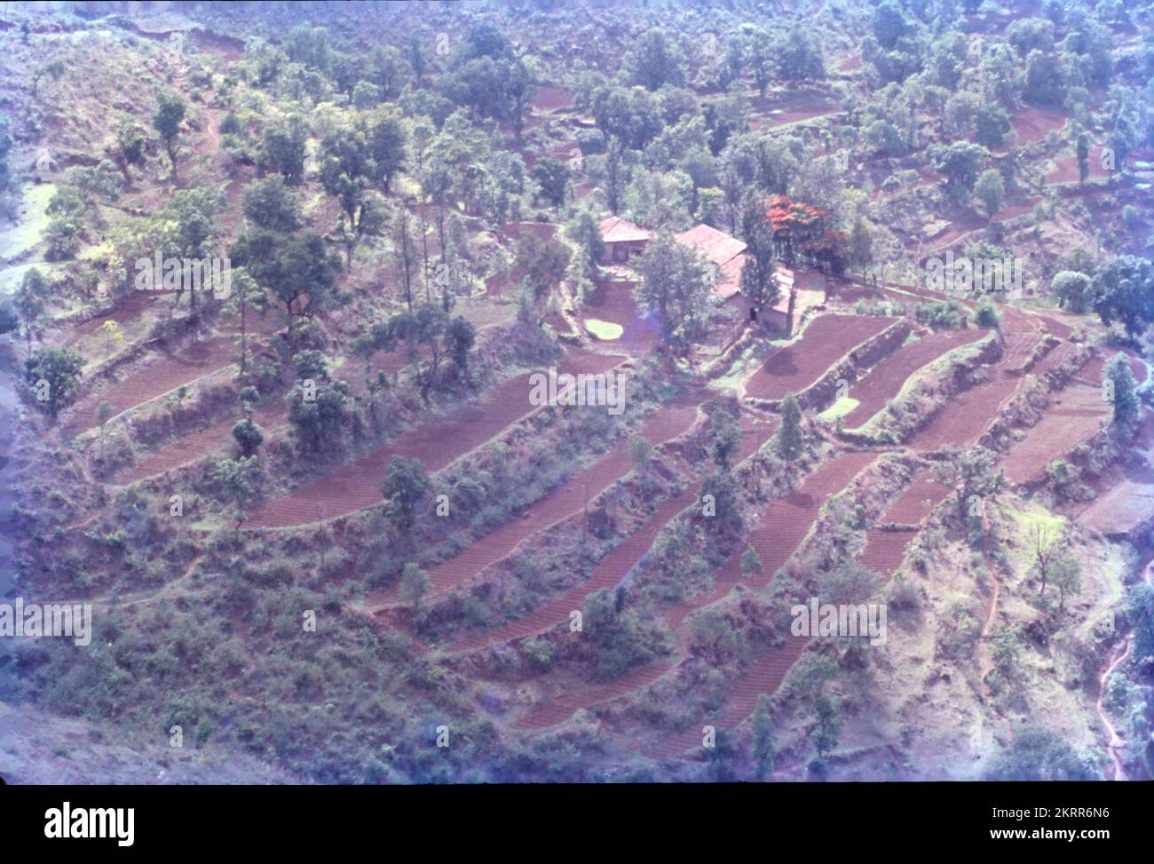 Arial view of step farm hi-res stock photography and images - Alamy
