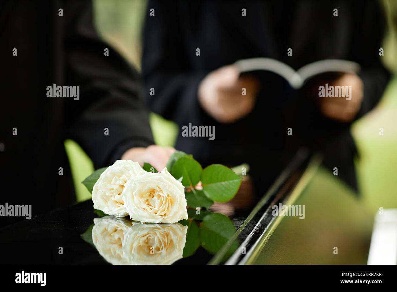 Close up of white roses on coffin at outdoor funeral ceremony, copy ...