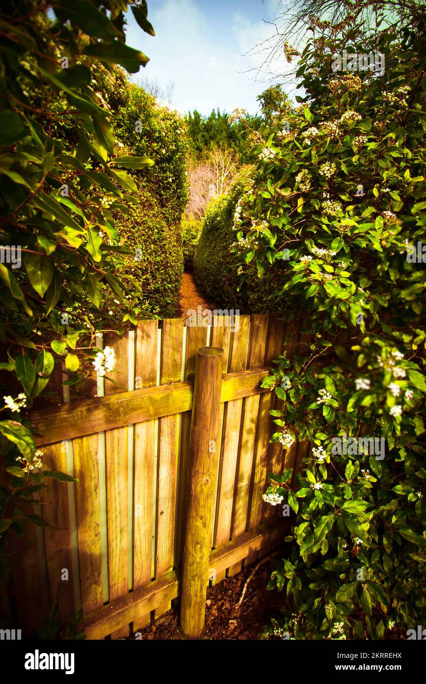 Dead hedge fence hi-res stock photography and images - Alamy