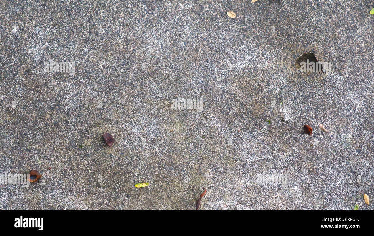 concrete road texture with fallen leaves Stock Photo - Alamy