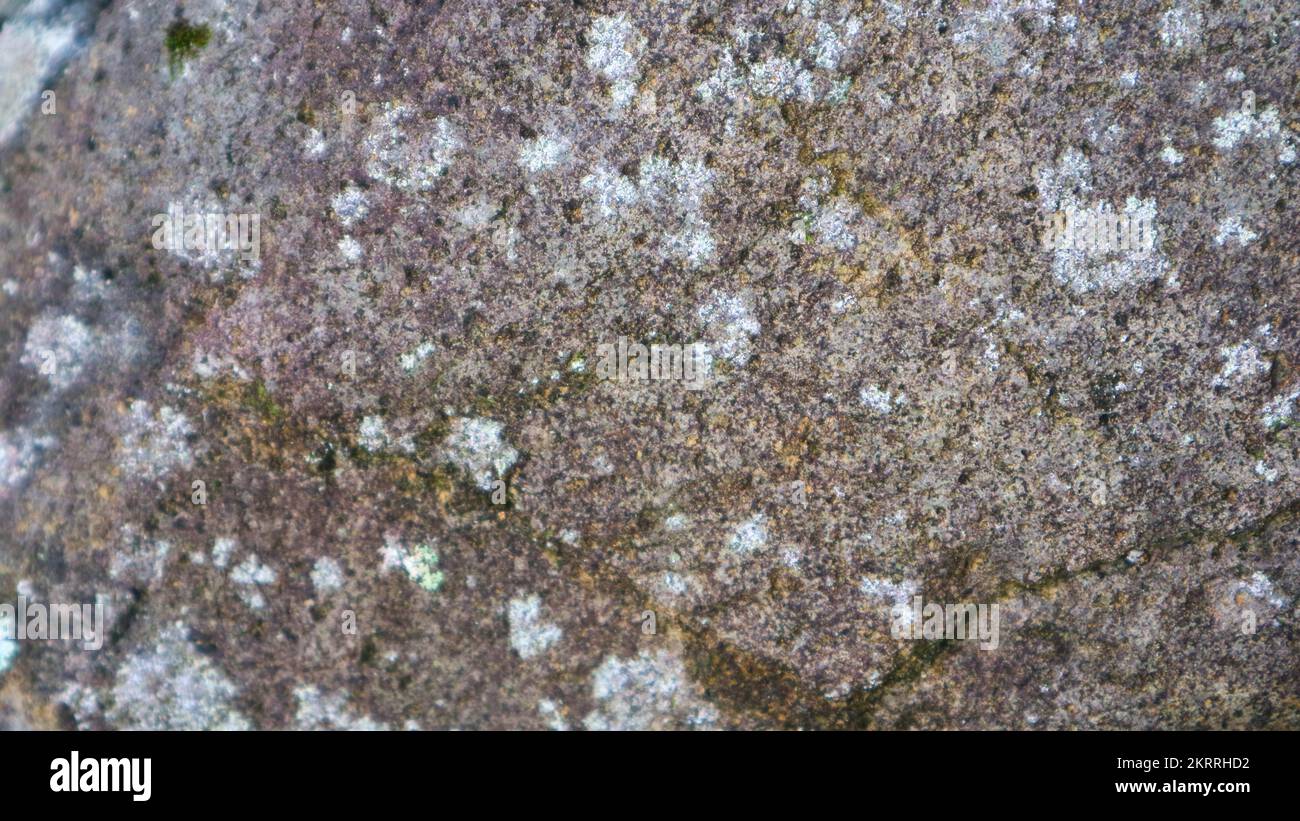 Mossy stone texture as background Stock Photo - Alamy