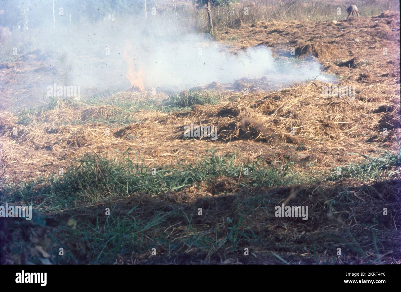 Many farmers consider agricultural burning the most effective and cost ...