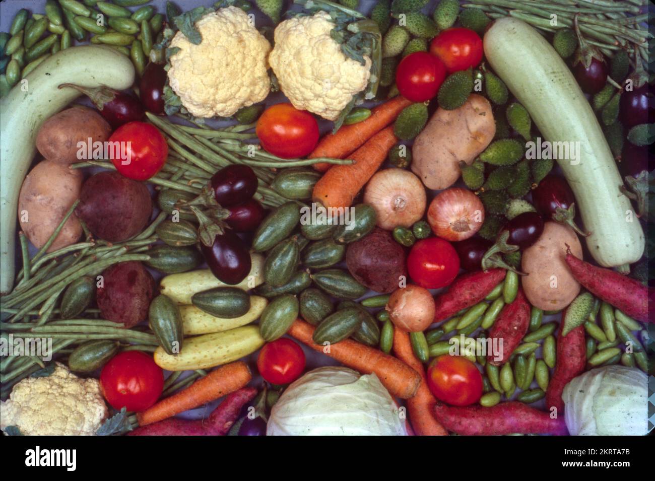 Vegetables are parts of plants that are consumed by humans or other ...