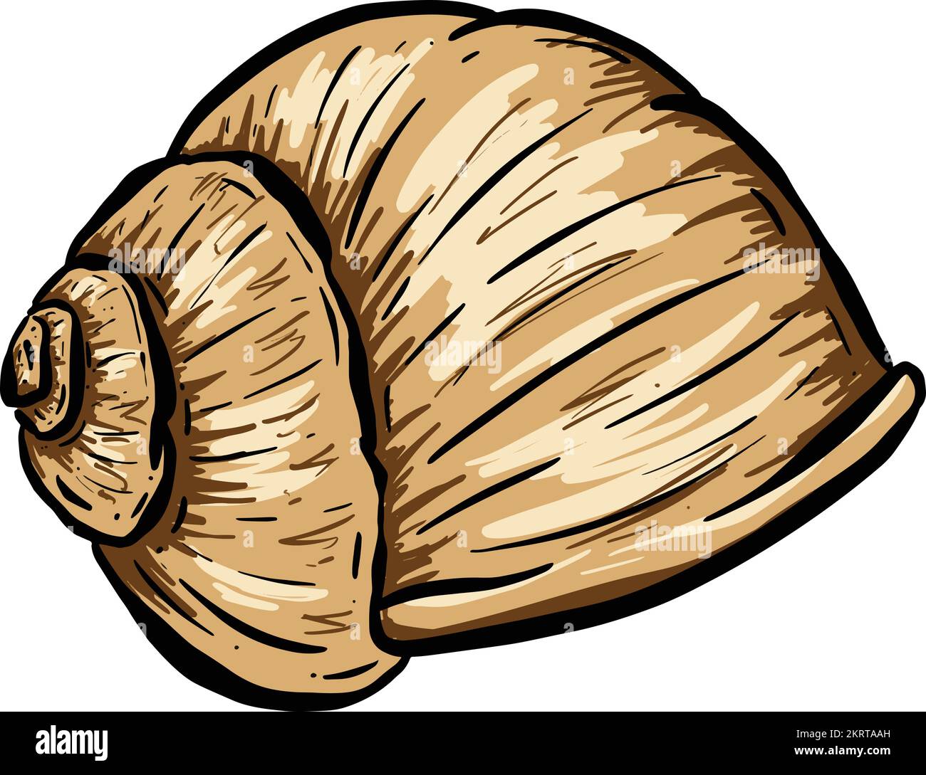 Conch Sea Snail Shell Outline Cartoon Style Logo Design in Vector Stock ...