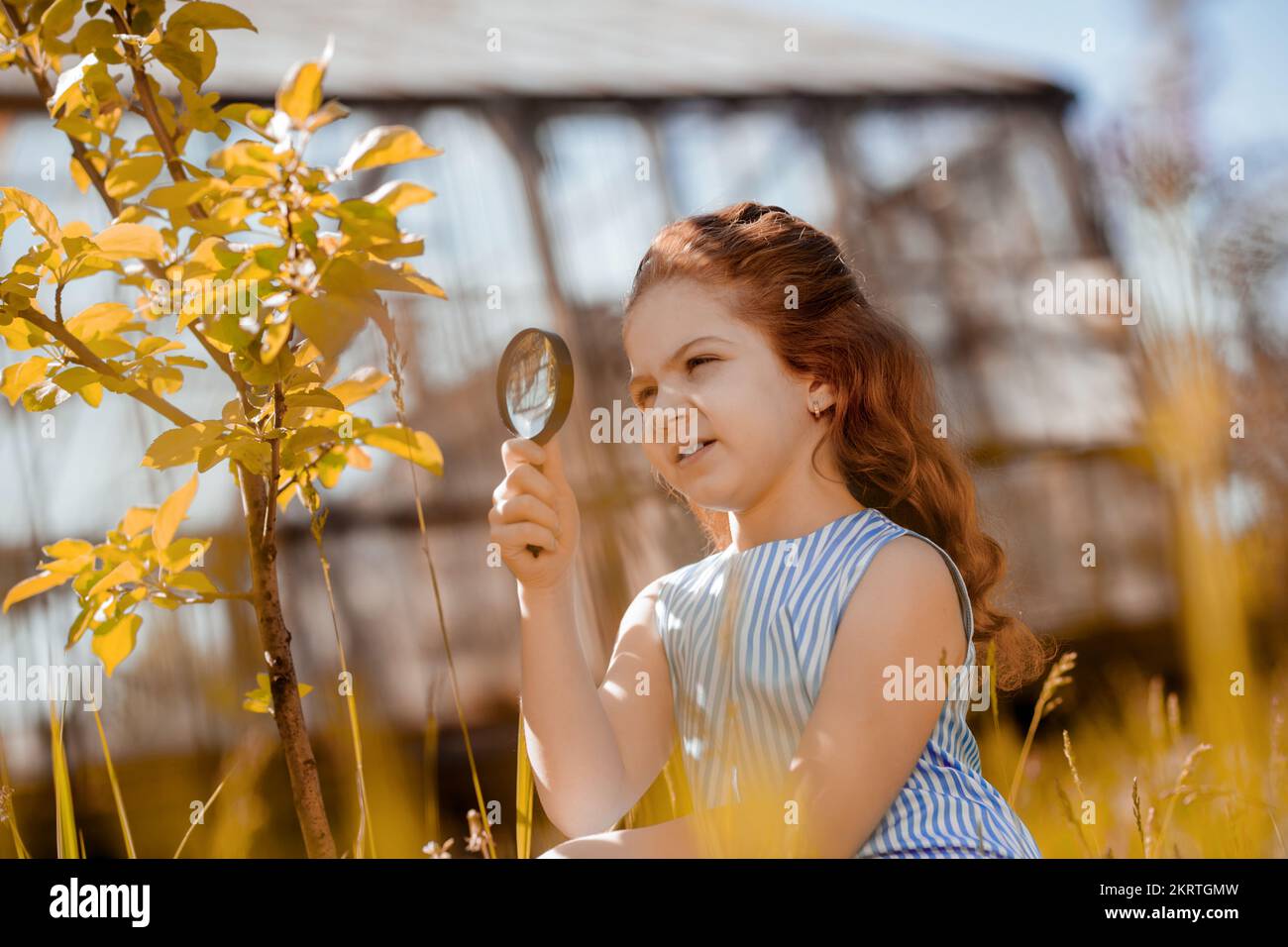 Scrutinizing look hi-res stock photography and images - Alamy