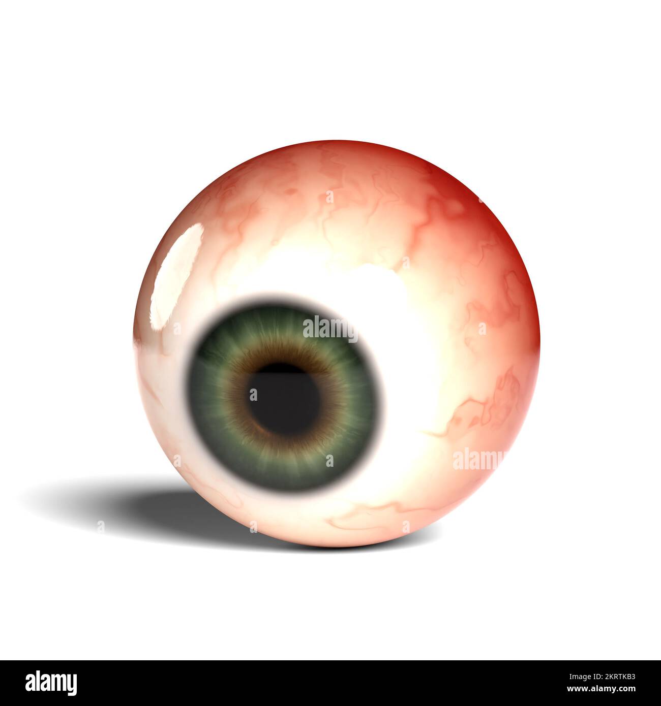 Side view of realistic human eyeball isolated on wihte background, 3D ...