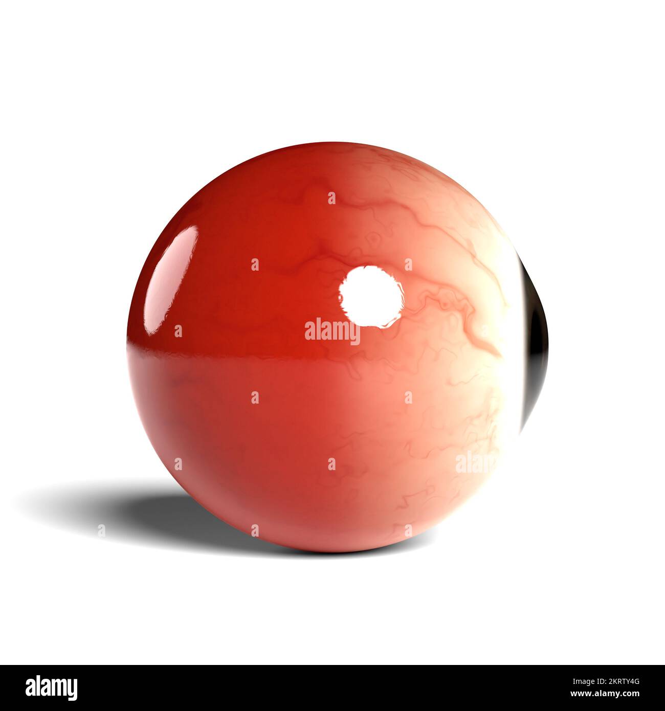 Side view of realistic human eyeball isolated on wihte background, 3D ...