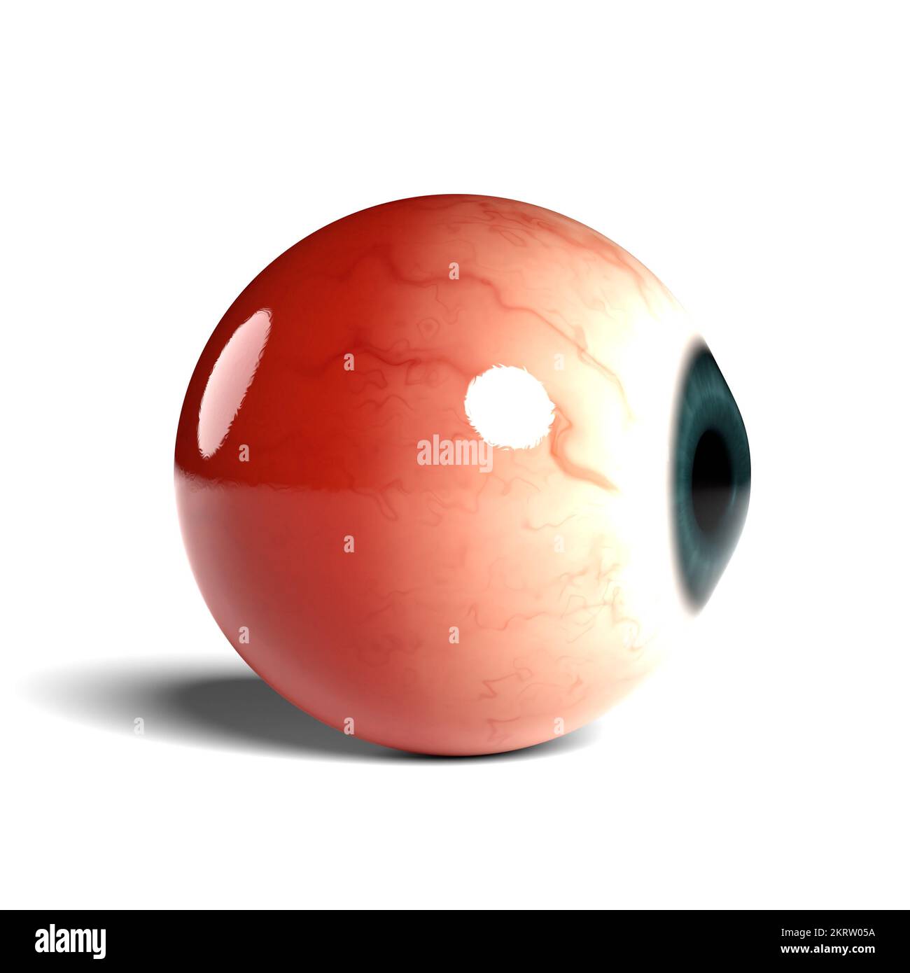 Side view of realistic human eyeball isolated on wihte background, 3D ...