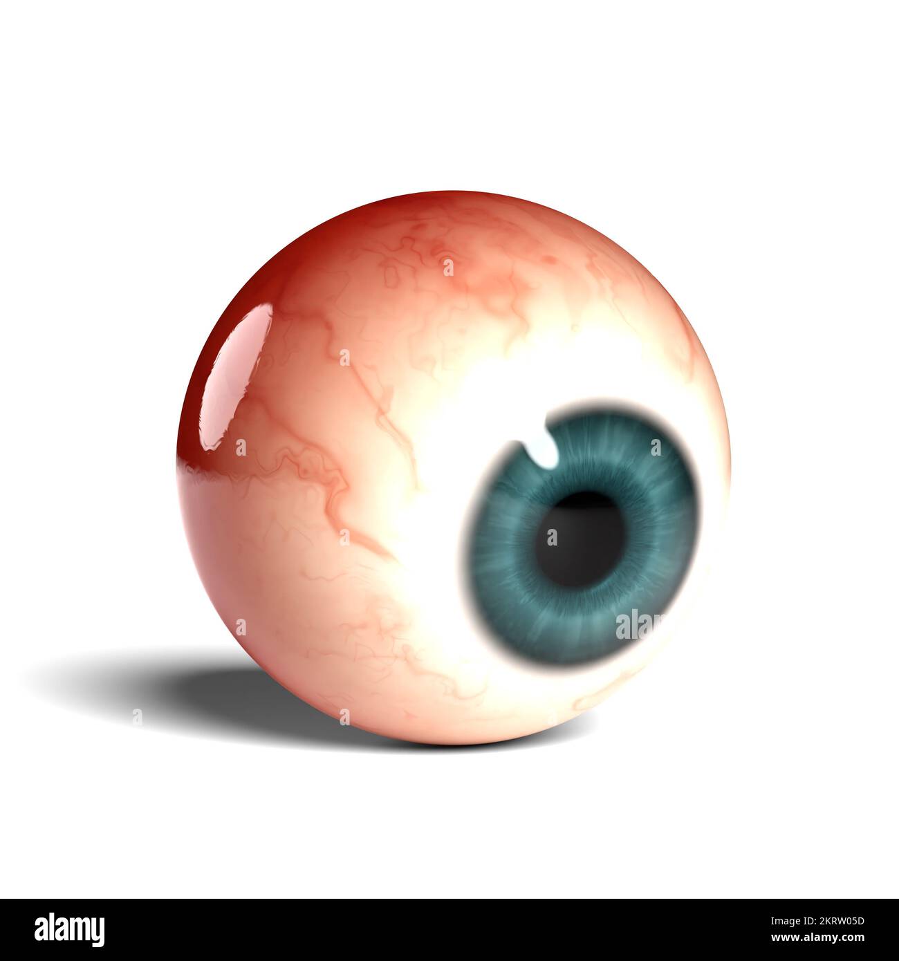 Side view of realistic human eyeball isolated on wihte background, 3D ...