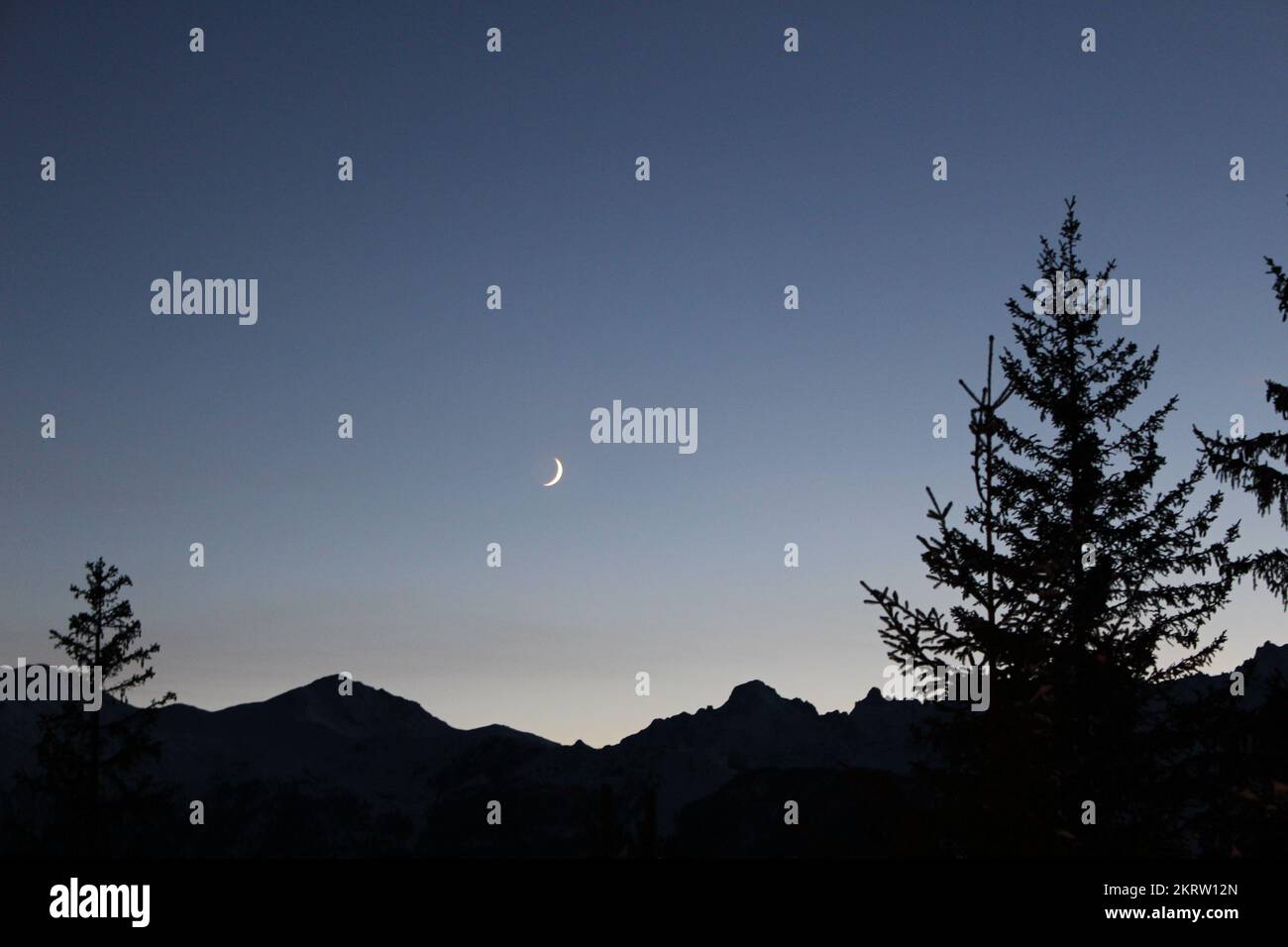 moon trees silhouette mountains landscape background abstract throwback ...