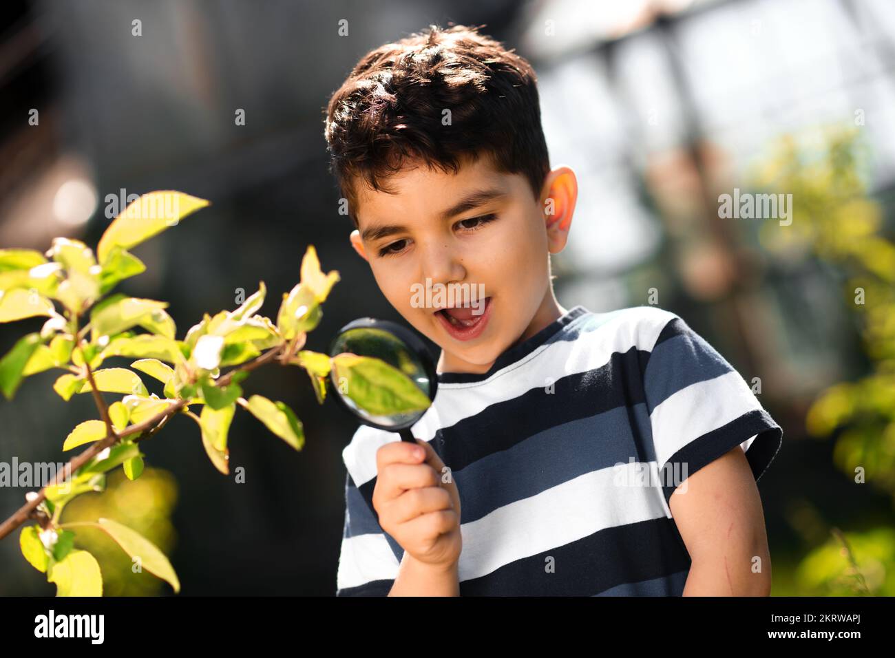 Curious boy investigating nature with a magnifier Stock Photo - Alamy
