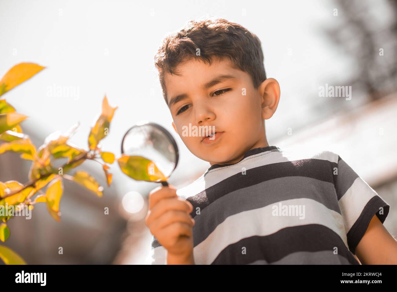 Curious boy investigating nature with a magnifier Stock Photo - Alamy