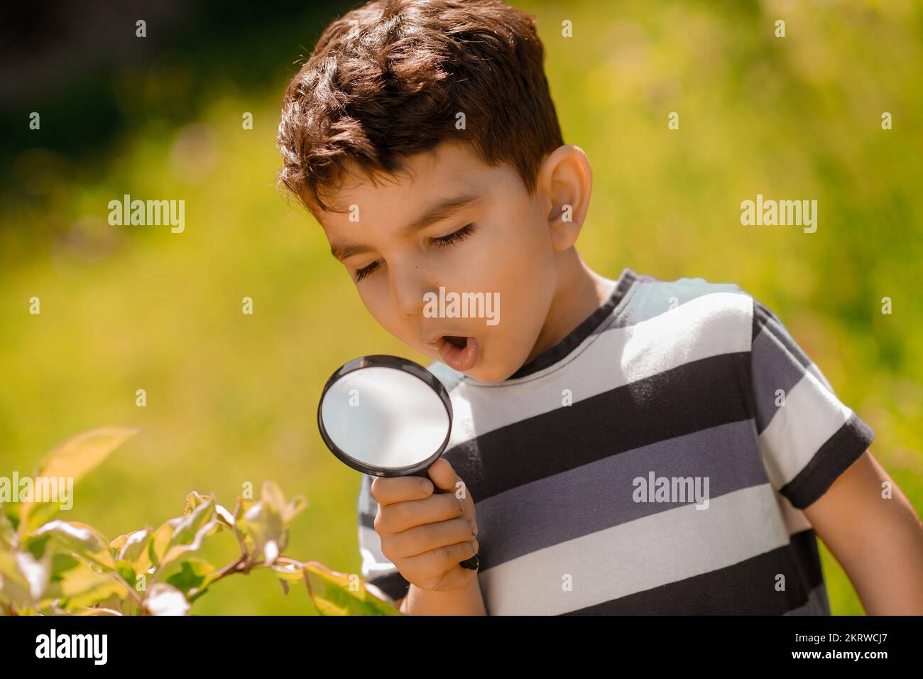 Curious boy investigating nature with a magnifier Stock Photo - Alamy