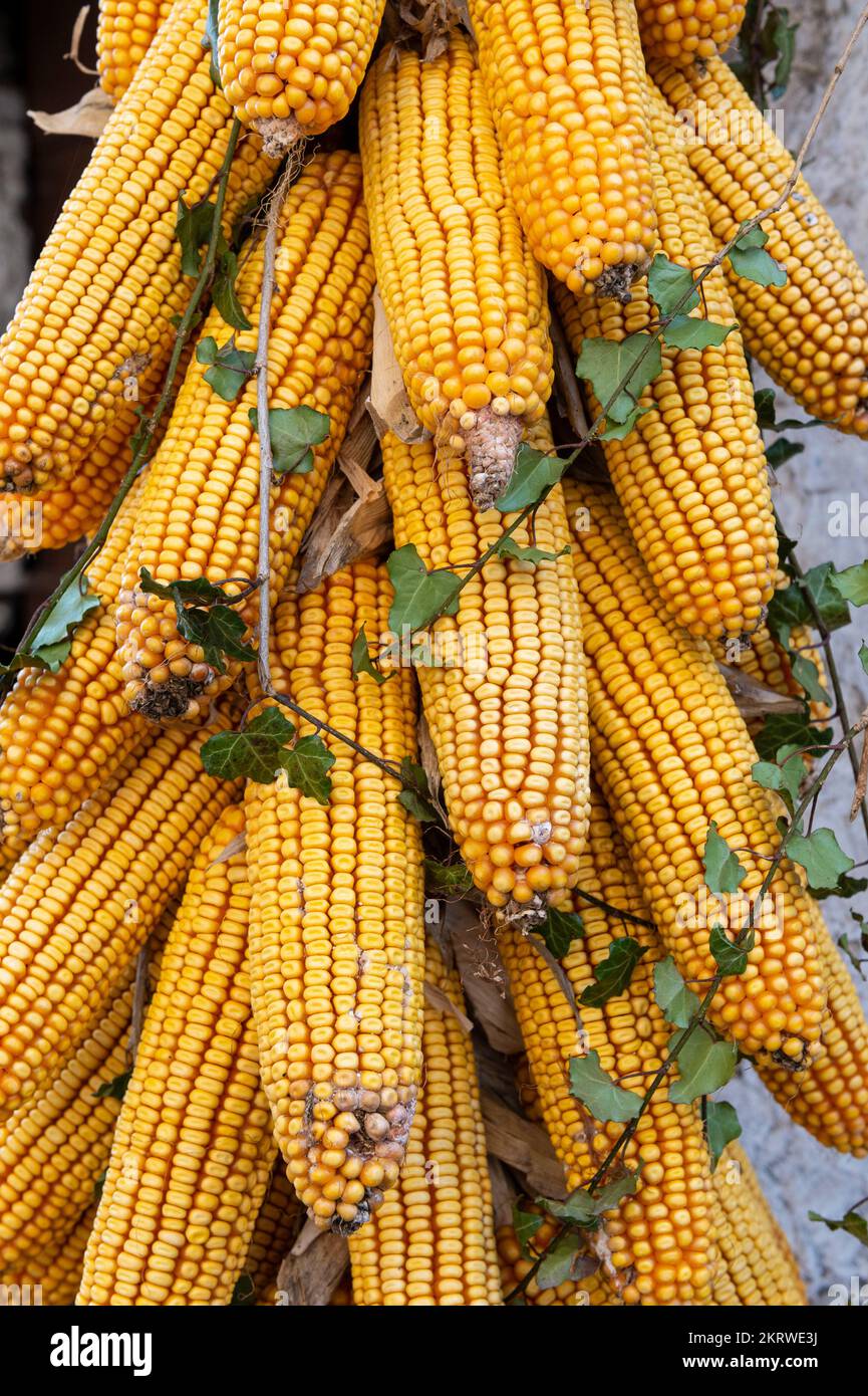 Pescarzo hi-res stock photography and images - Alamy