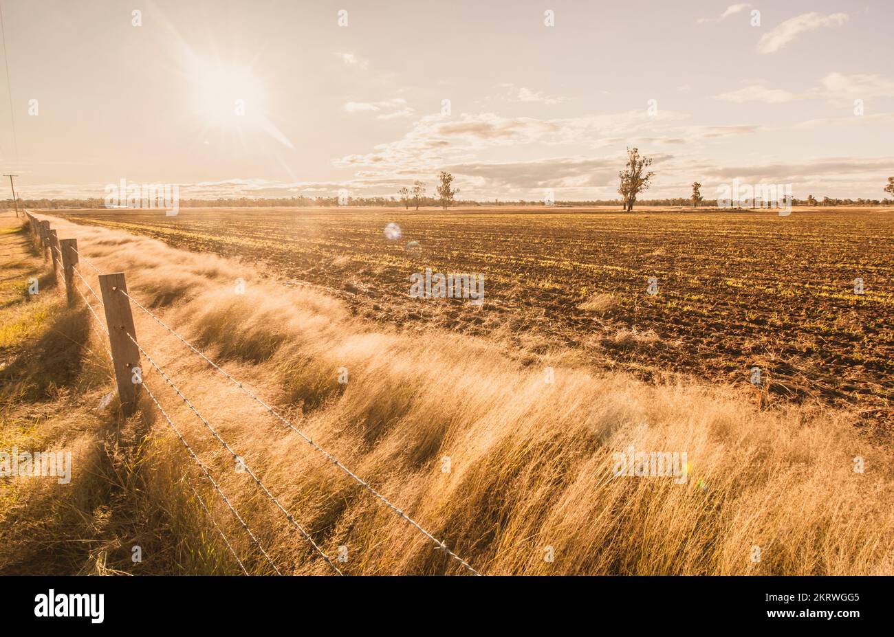 Bright autumn afternoon sunset over a toned Queensland farming ...