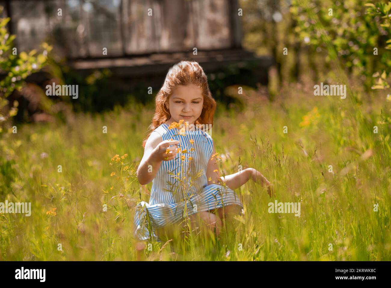 Pretty ginger long haired hi-res stock photography and images - Alamy