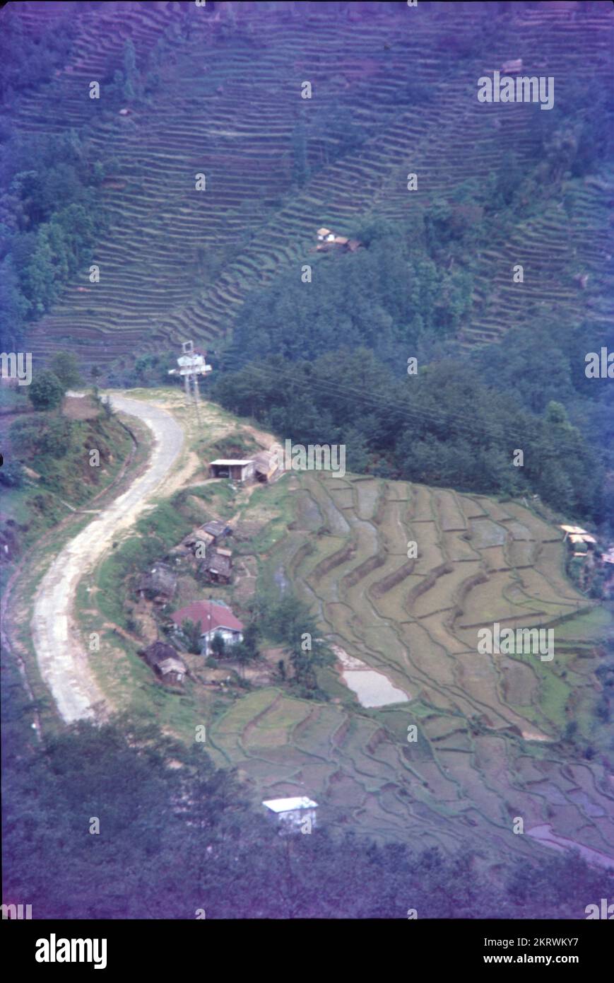 In hills, step farming, also known as terrace farming, is prevalent to ...