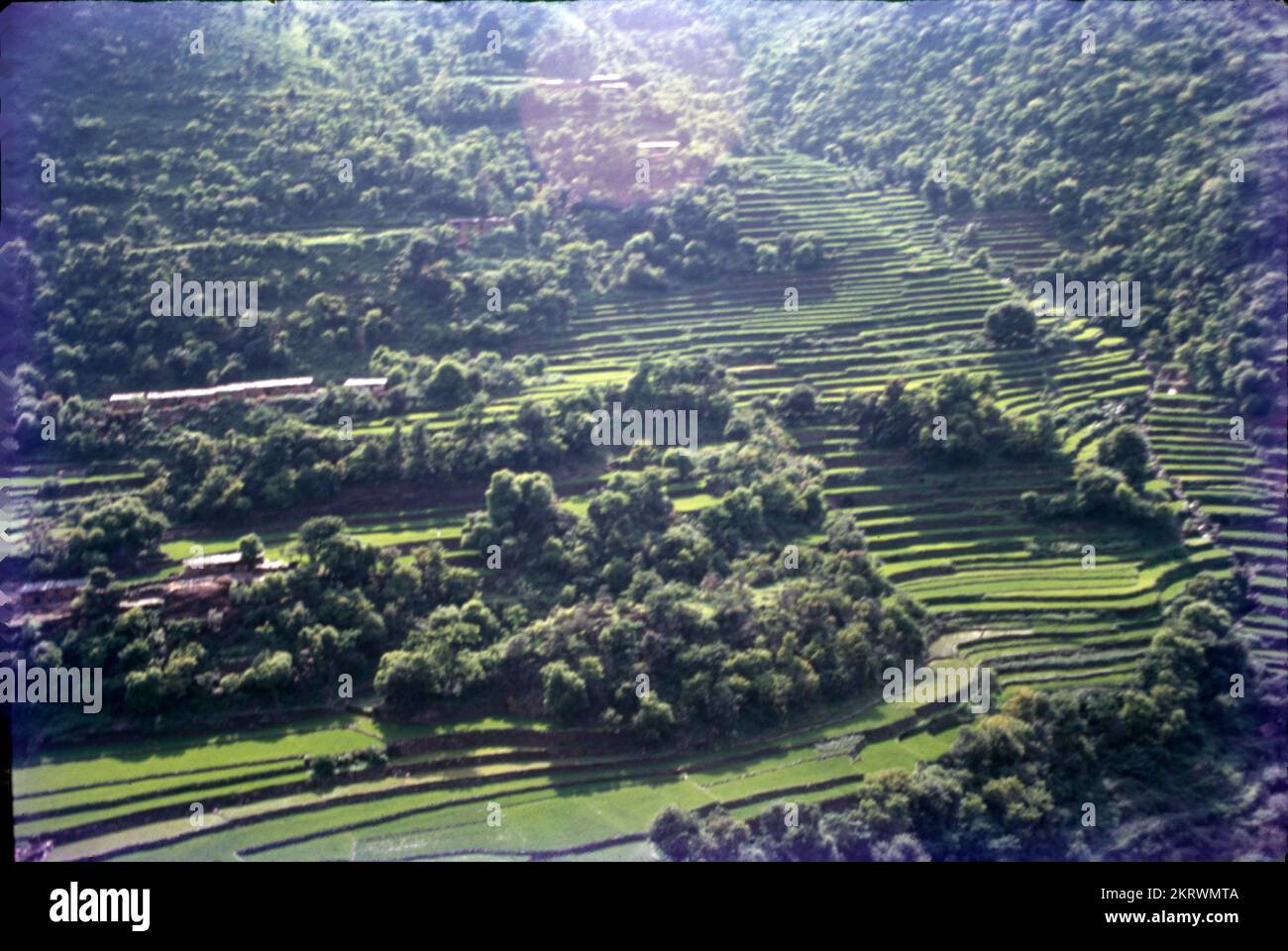 In hills, step farming, also known as terrace farming, is prevalent to ...
