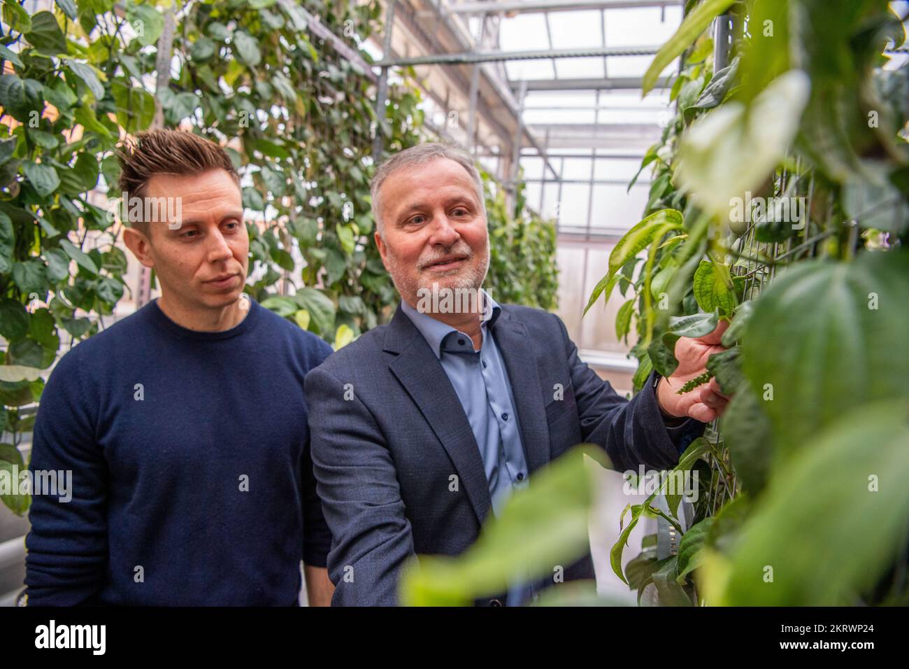 Osnabruck, Germany. 29 November 2022, Lower Saxony, Osnabrück: Andreas ...