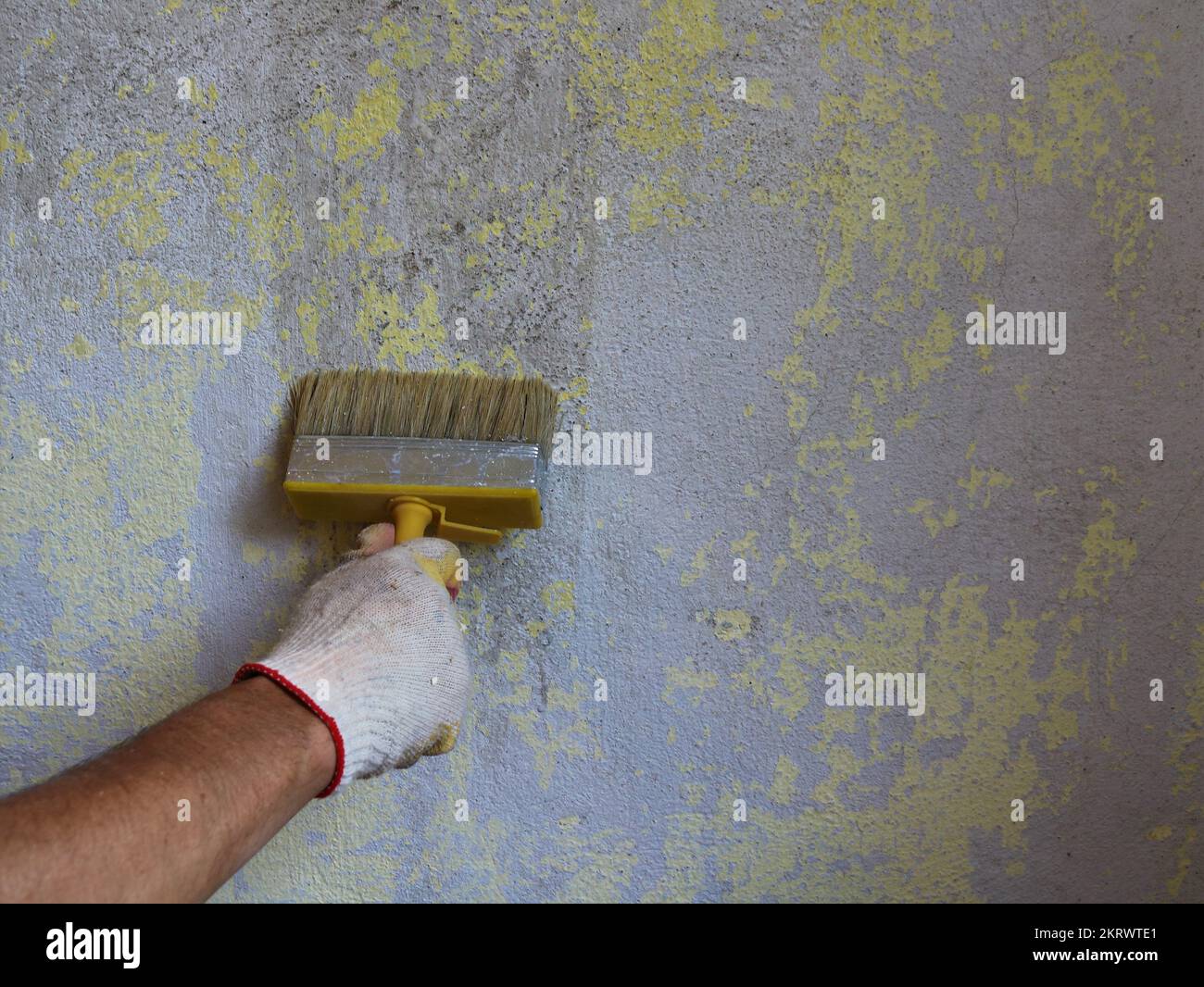 finishing leveling the surface of the room wall using a wide spatula ...