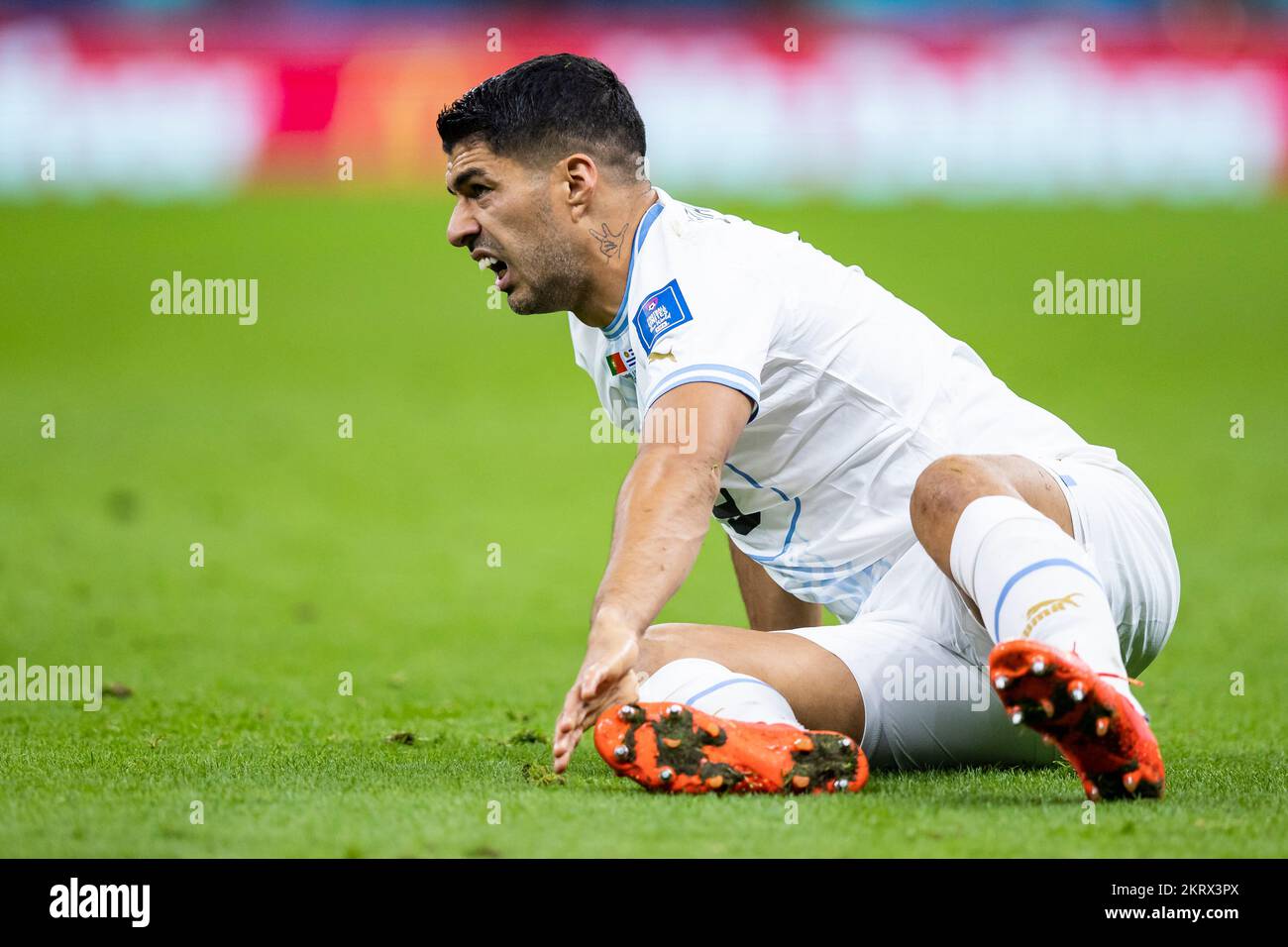 Lusail, Qatar. 28th Nov, 2022. Soccer: World Cup, Portugal - Uruguay ...