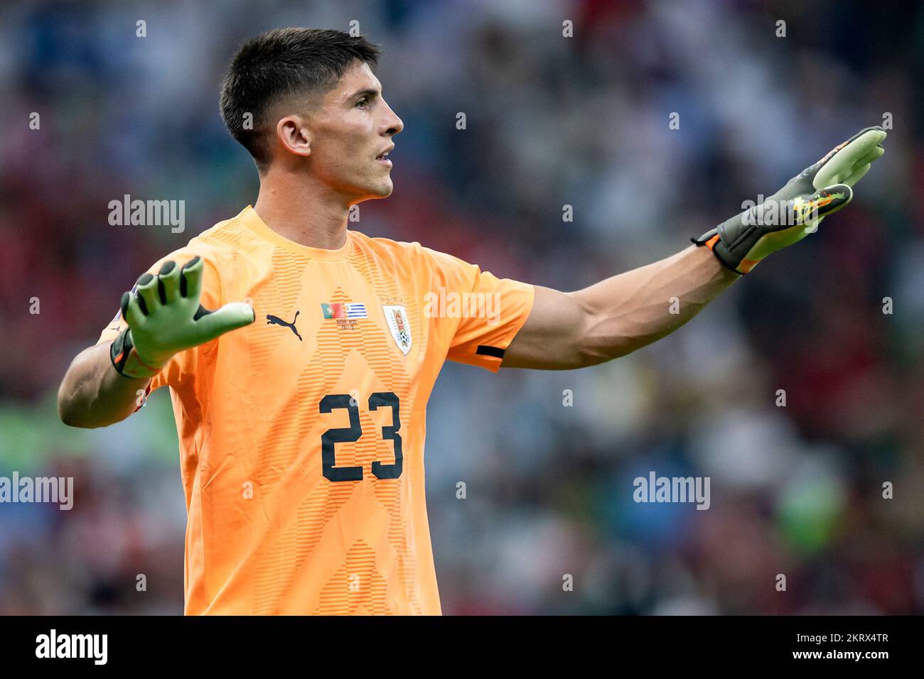 Rochet uruguay hi-res stock photography and images - Alamy