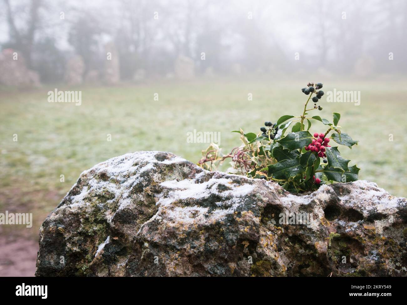 Sprigs of holly with red berries on top of the standing stones in ...
