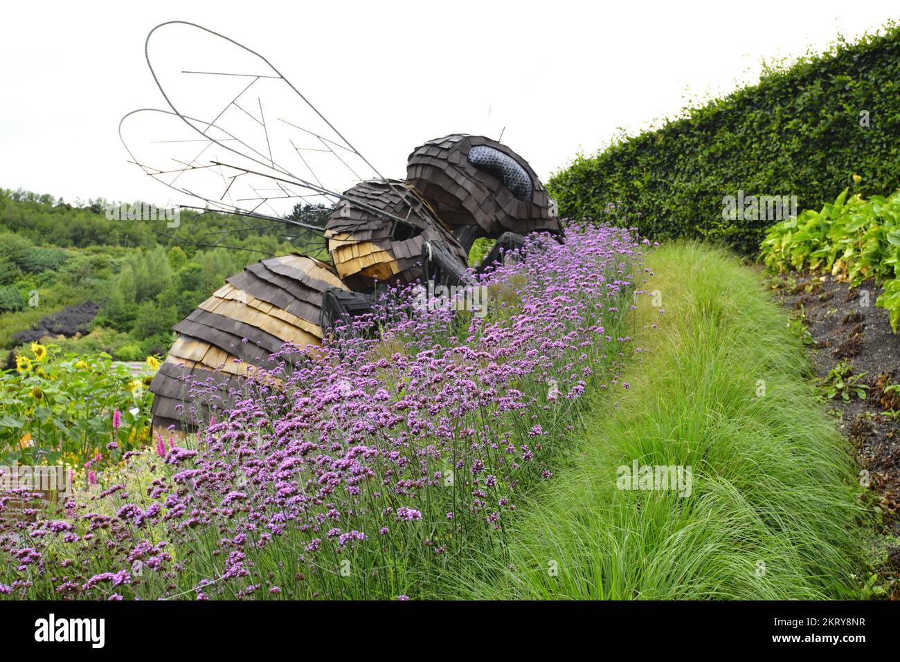 Big bee at garden event in South West England Stock Photo - Alamy