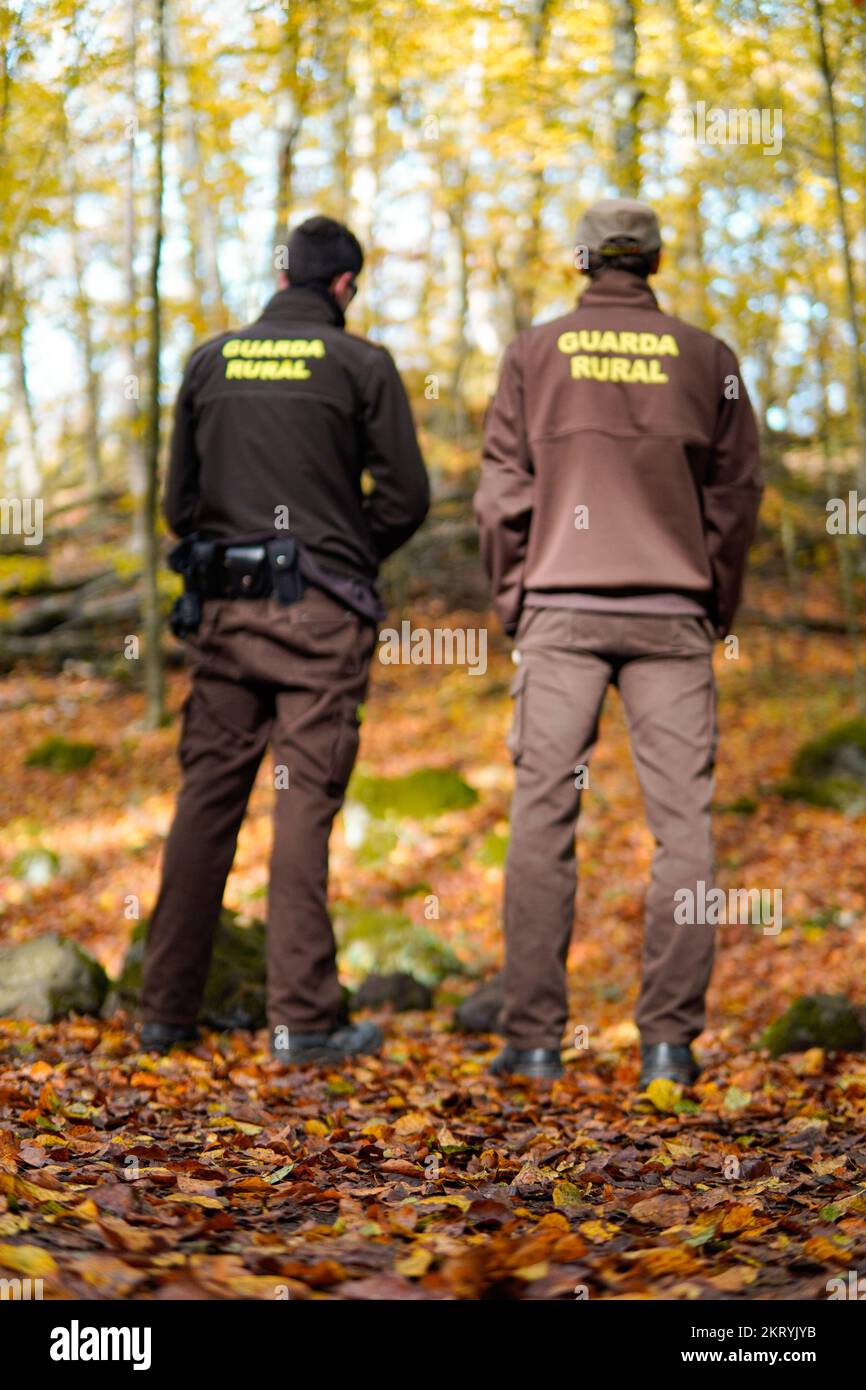 Two forest ranger with his back looking the earth. Protection the ...