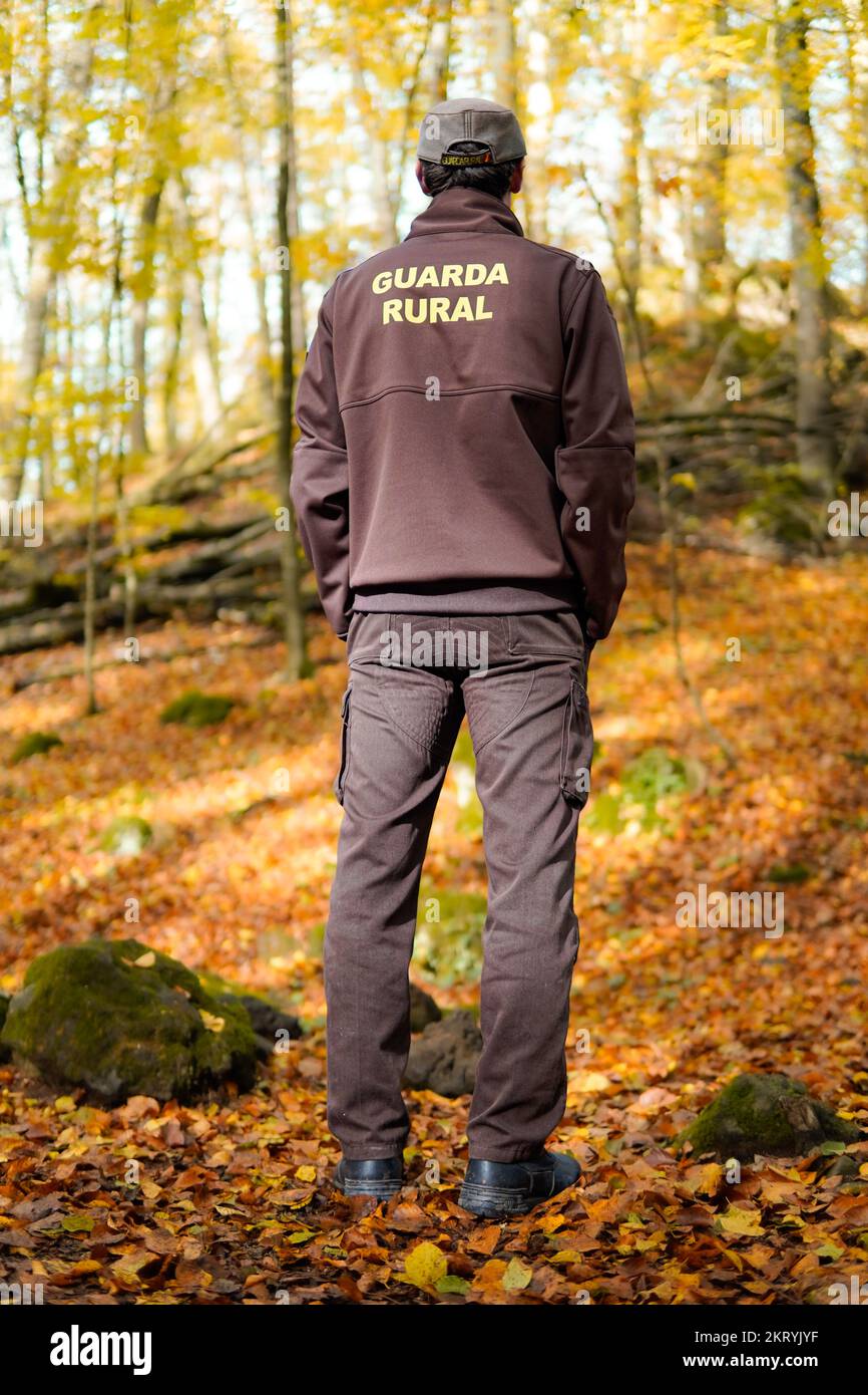 forest ranger taking care of the nature. Conservation the earth with ...