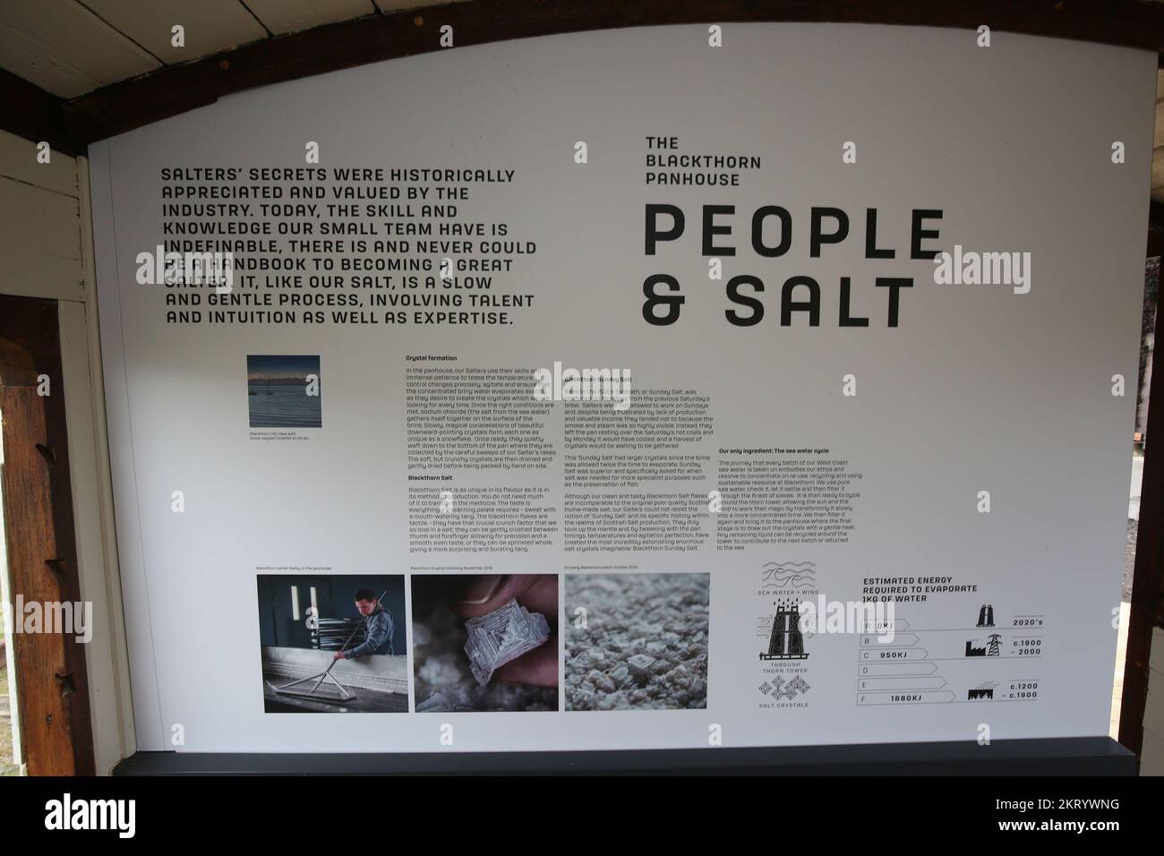 Ayr, Ayrshire, Scotland, UK, Blackthorn Salt. The first & only thorn ...