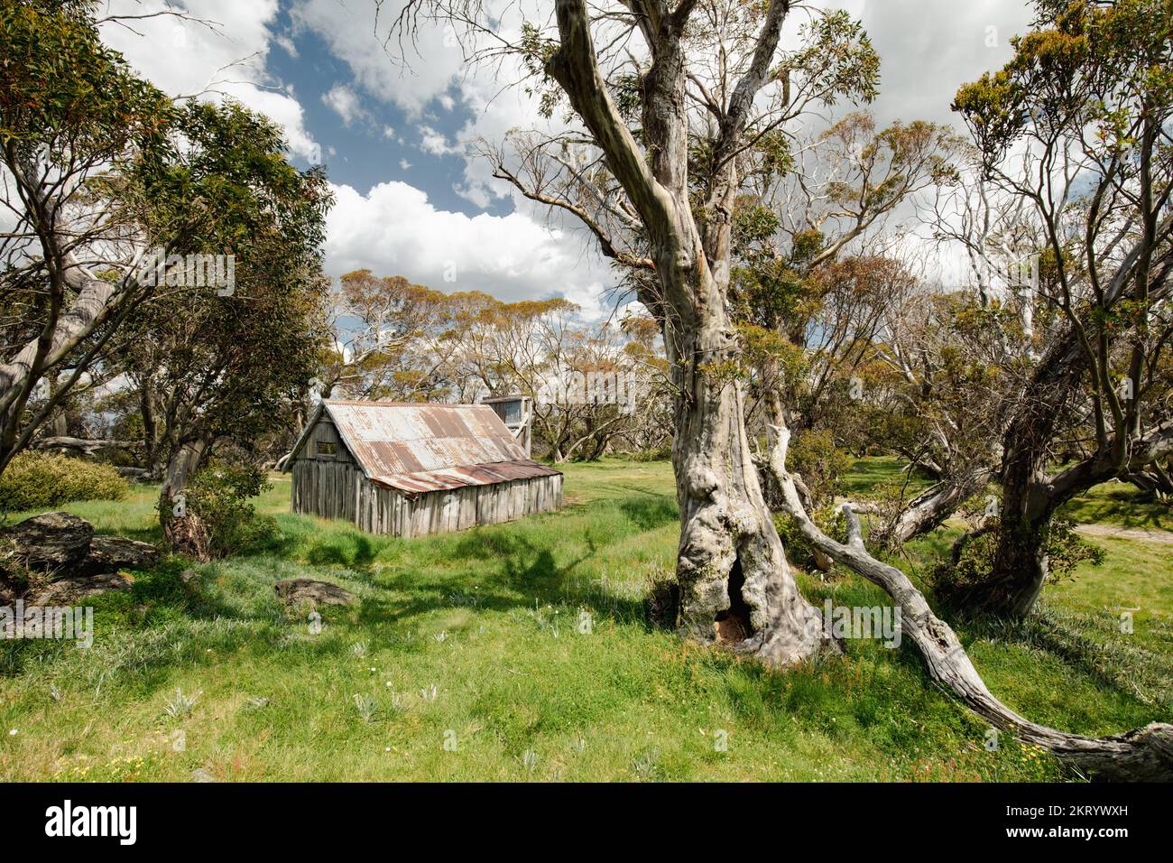 Wallace Hut near Falls Creek in Australia Stock Photo - Alamy
